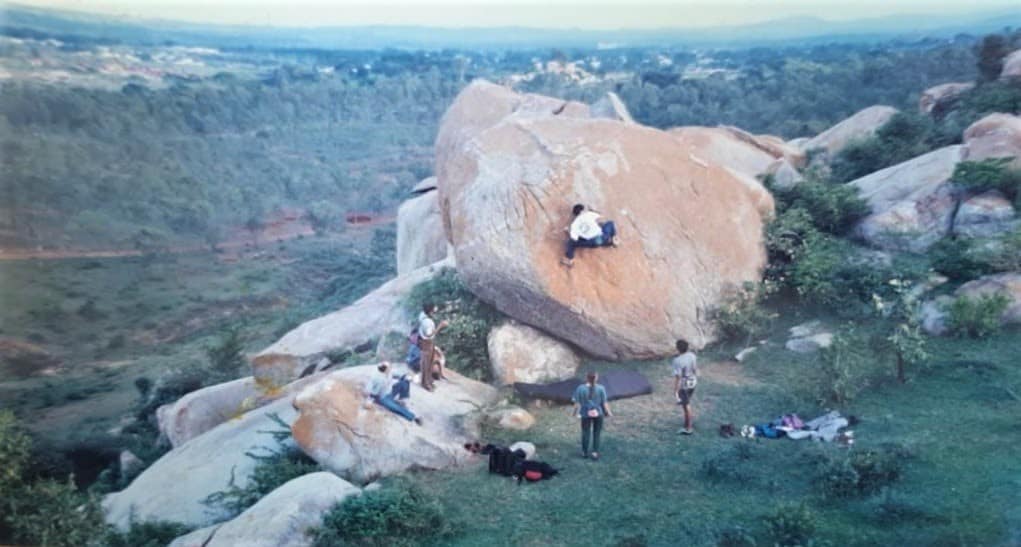 Turahalli: Missing the woods for the trees - Citizen Matters