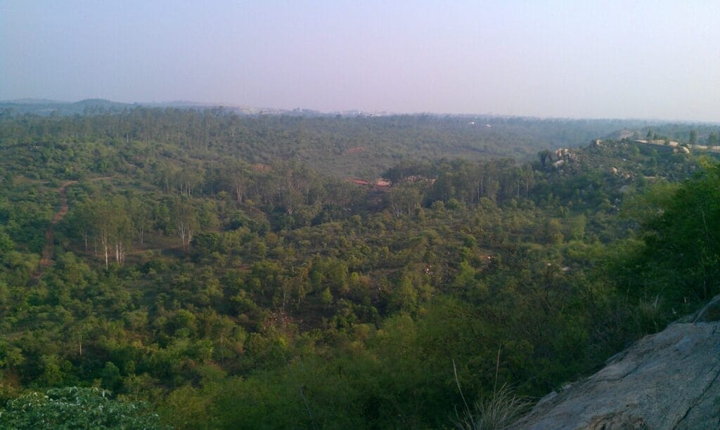 The environmental hazards of Bannerghatta National Park's proposed ...