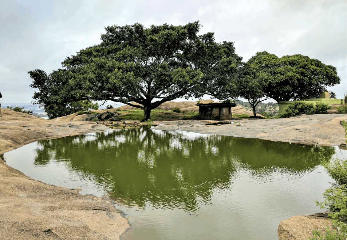 Halting Turahalli tree park - A breath of fresh air - Citizen Matters