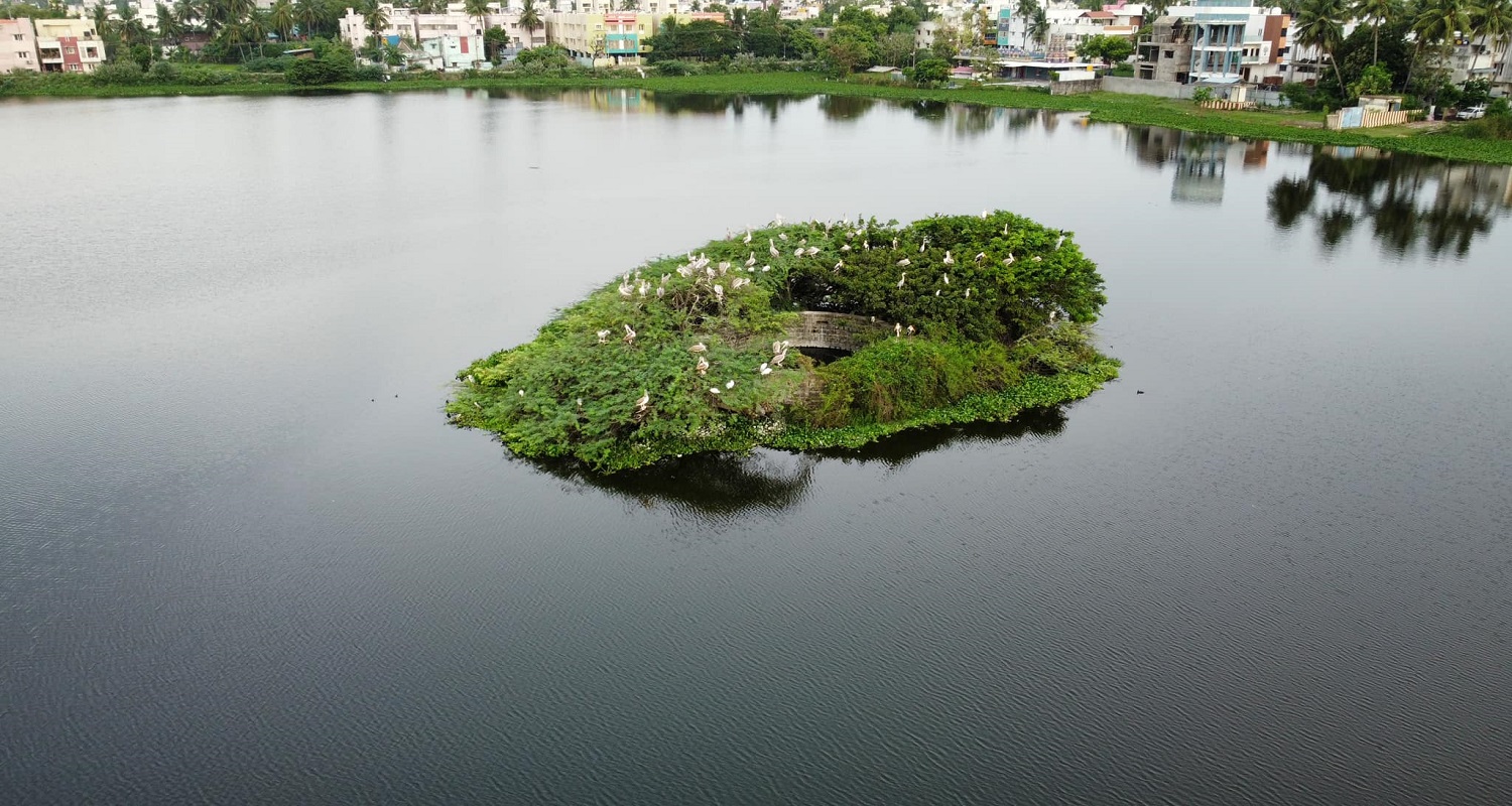 Lessons from the past must guide the restoration of Chennai's lakes ...