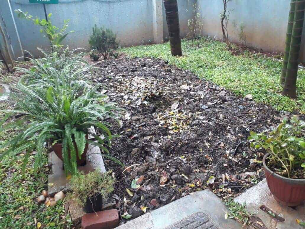 All you need to know about composting garden waste - Citizen Matters