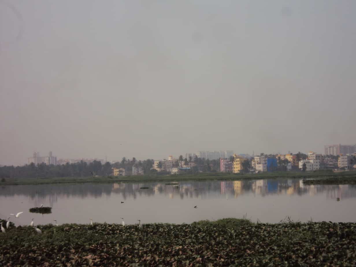 Long-neglected Varthur lake awaits rejuvenation - Citizen Matters