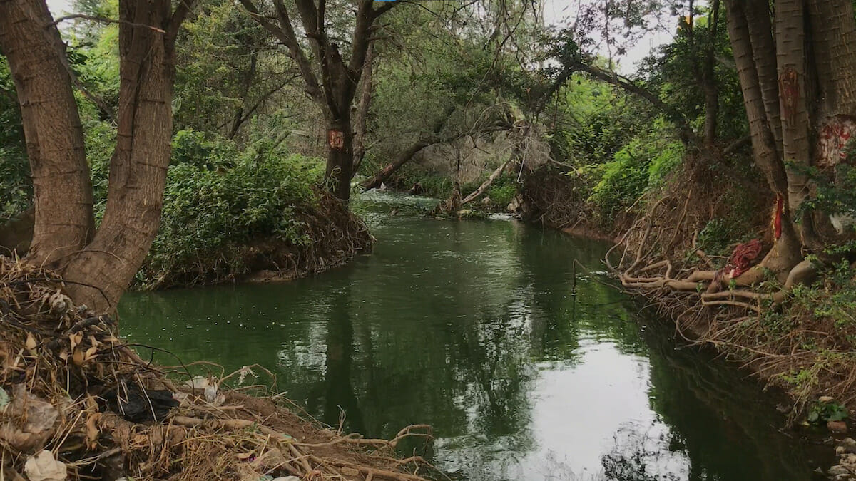 The Secret Life of Bengaluru’s Lakes: A look at their history and the ...