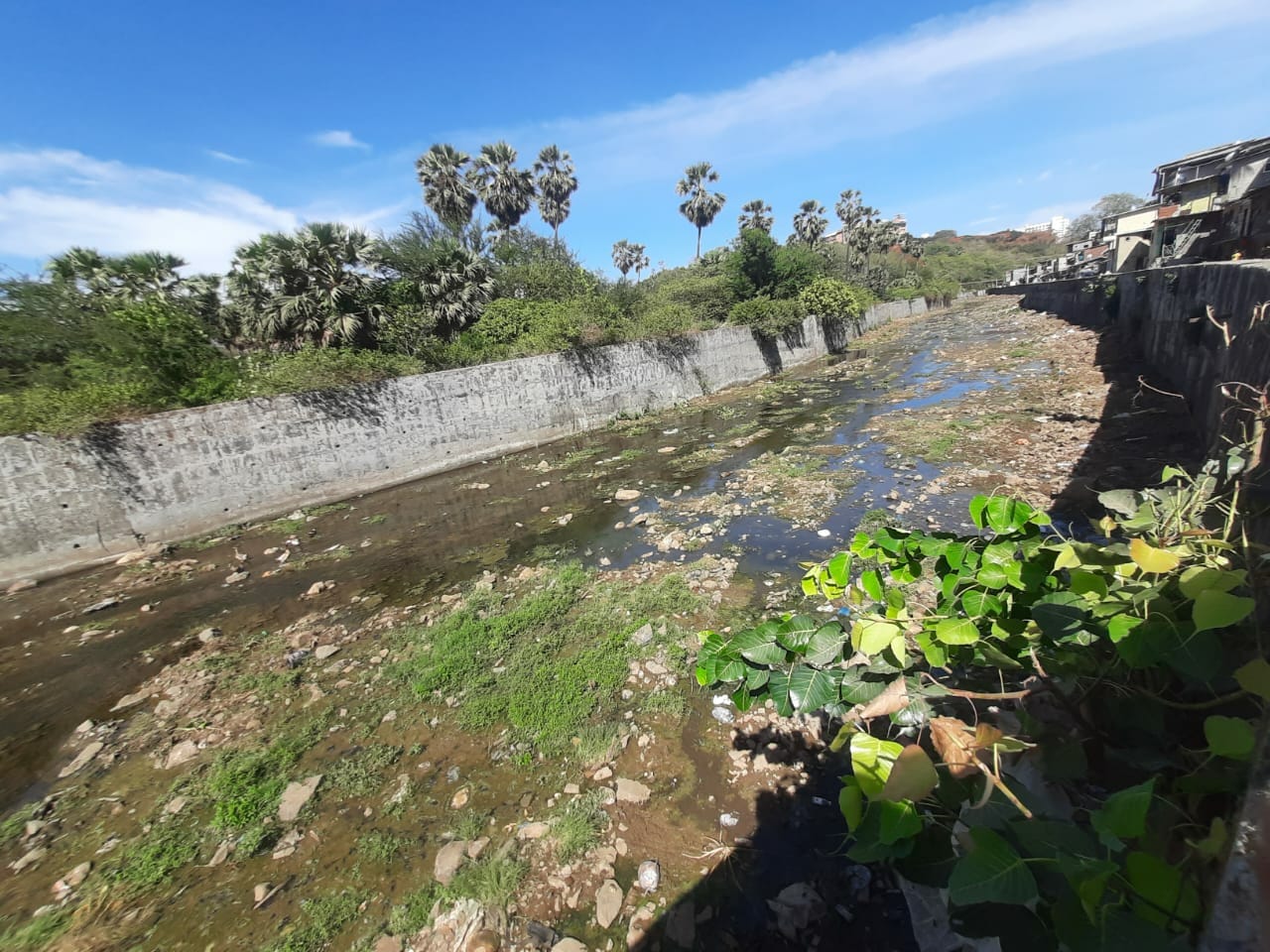Despite filtration exercise, clean Mithi River a distant possibility ...