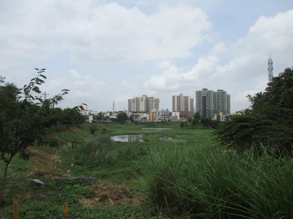 Puttenahalli Lake Trust wins national award for lake rejuvenation ...