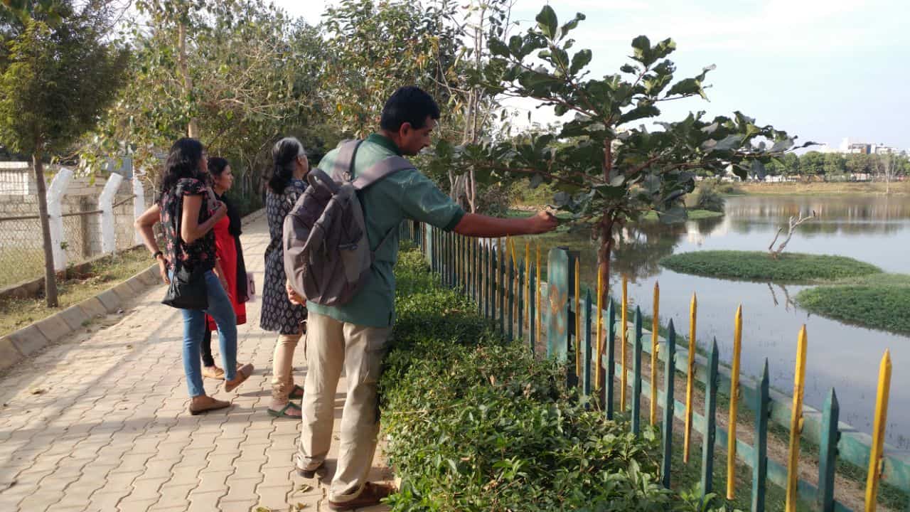 An exciting weekend at Puttenahalli Lake - Citizen Matters