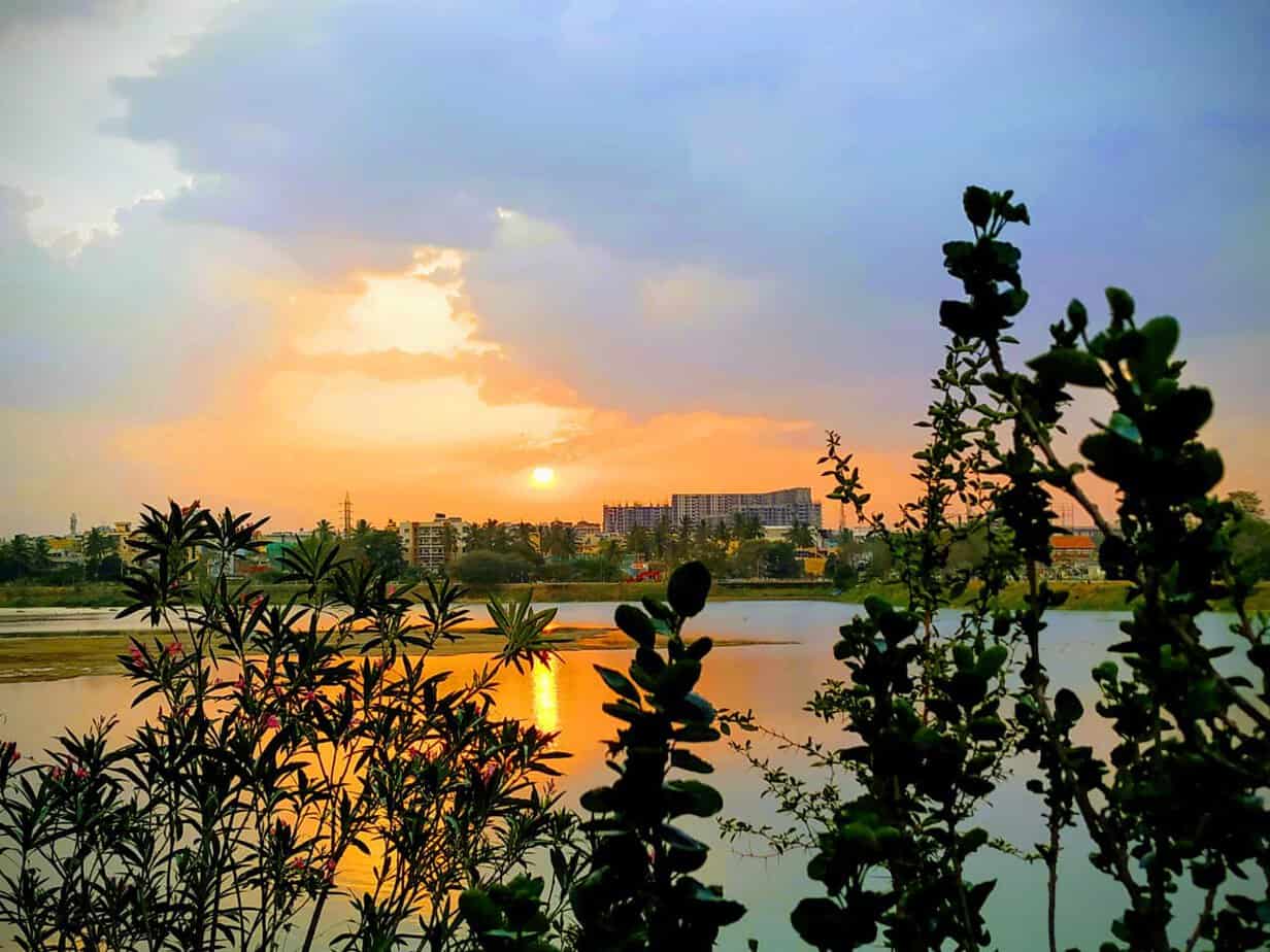 Agara lake revival: A saga of citizen-government collaboration ...