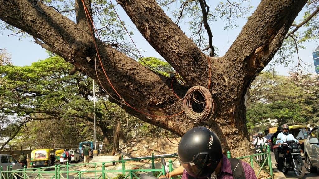 Finally, govt frames rules to address those dangerously dangling cables ...