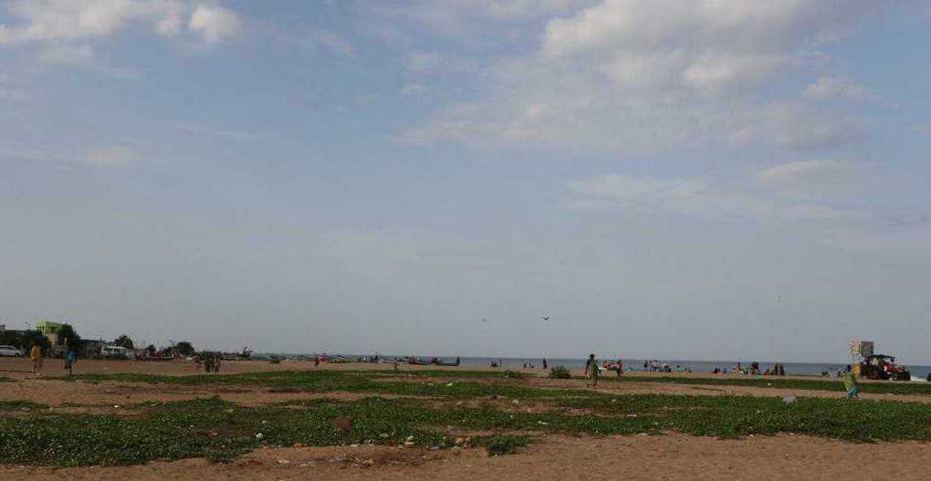 What to expect from beach beautification plans for Chennai - Citizen ...
