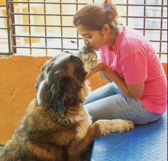 Of rescue, adoption and taking care of animals - Citizen Matters