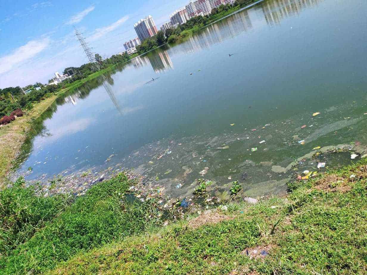 Polluted lakes, poor waste management contaminating Bengaluru's ...