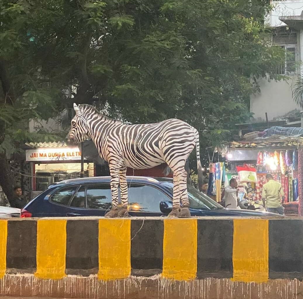 Mumbaikars not impressed with 1729 cr beautification drive - Citizen ...