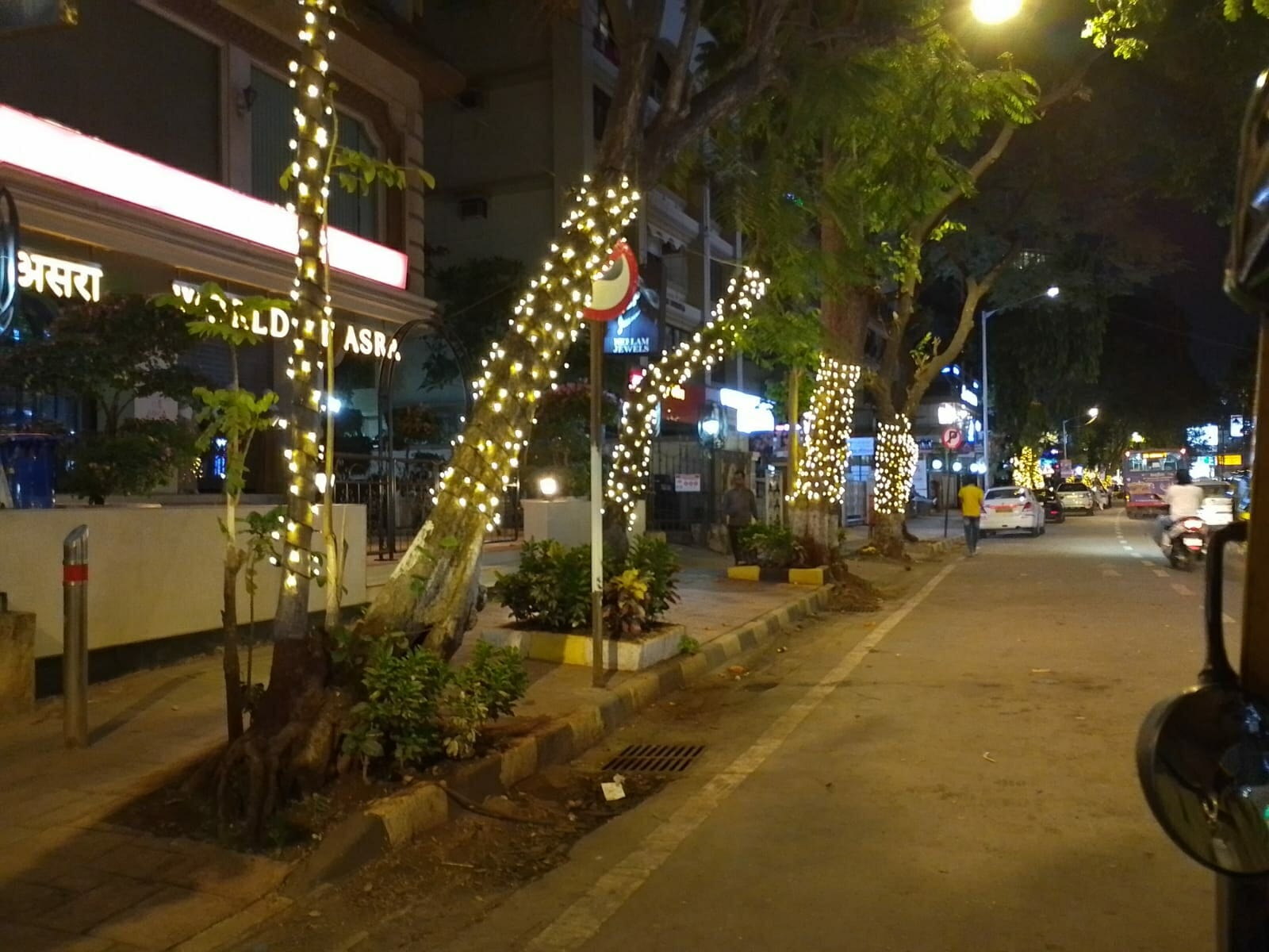 BMC beautification: Environmentalists warn of damage to trees by paints ...