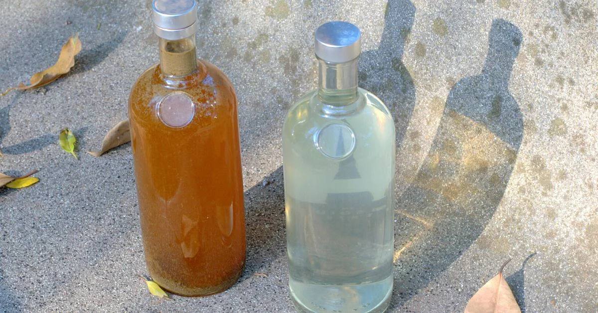 Explainer: How to get a green sewage treatment plant (STP) for your ...