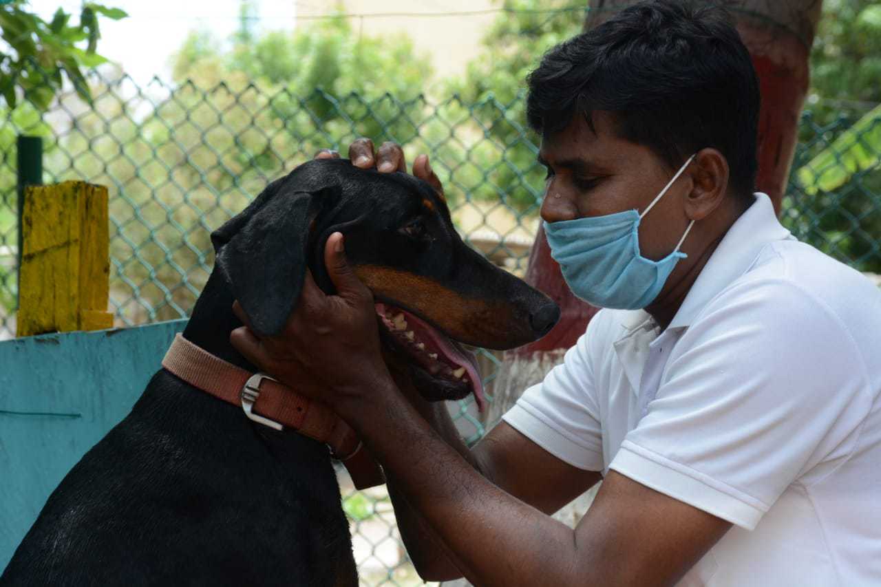 In photos: What are Chennai's canine protectors doing during the ...