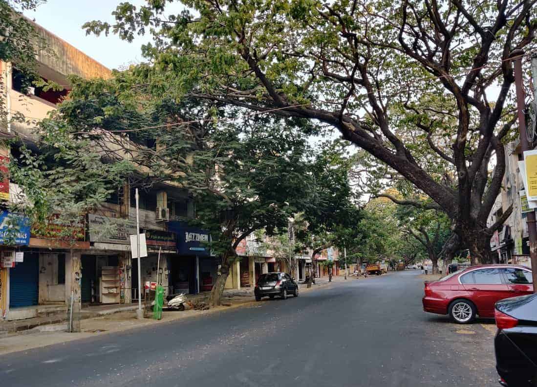 Panel proposes practical and scientific ways to green Chennai - Citizen ...