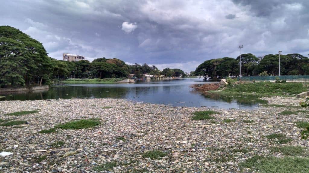On the surface of Ulsoor lake - Citizen Matters