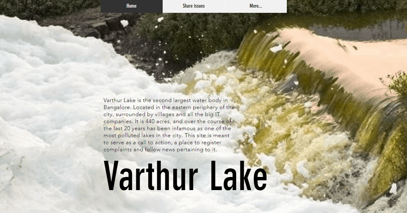 varthurlake.com', a citizen-led initiative to safeguard and rejuvenate ...
