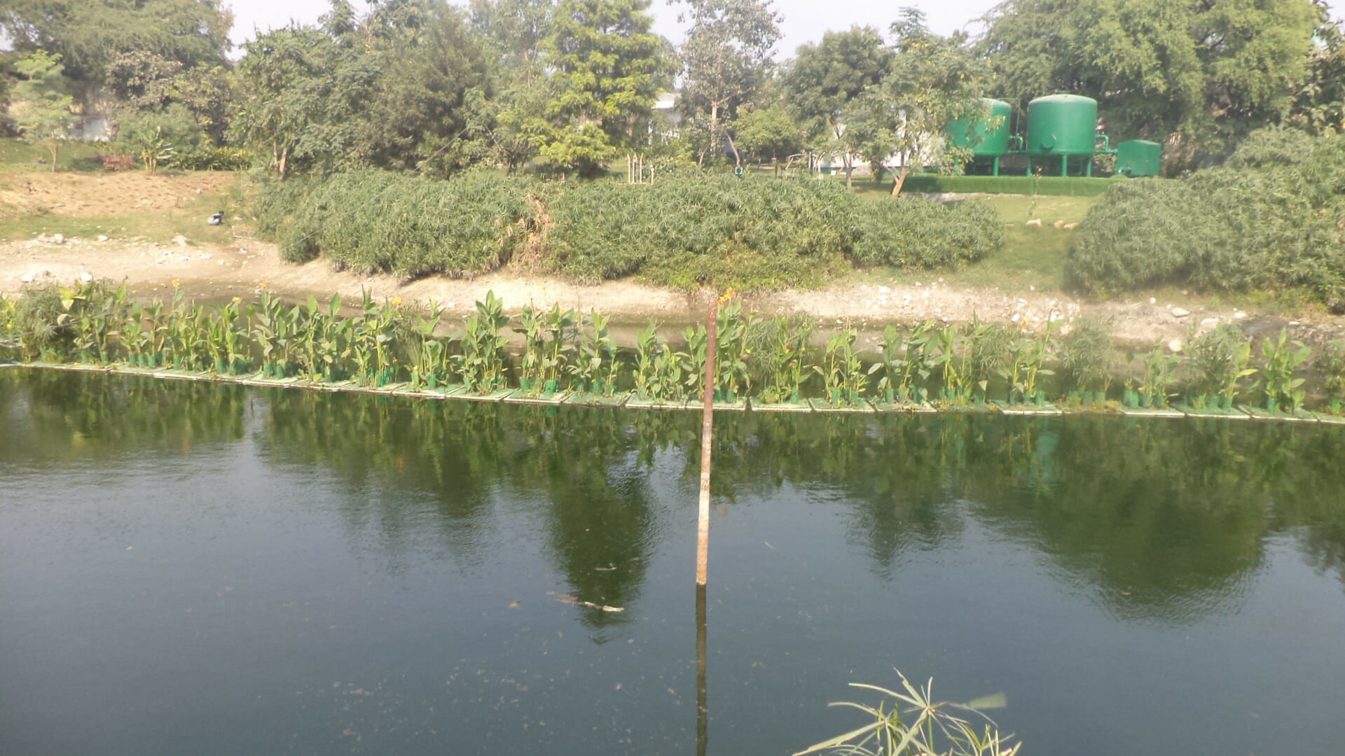 Rajokri Lake: From wasteland into model lake in just a year - Citizen ...