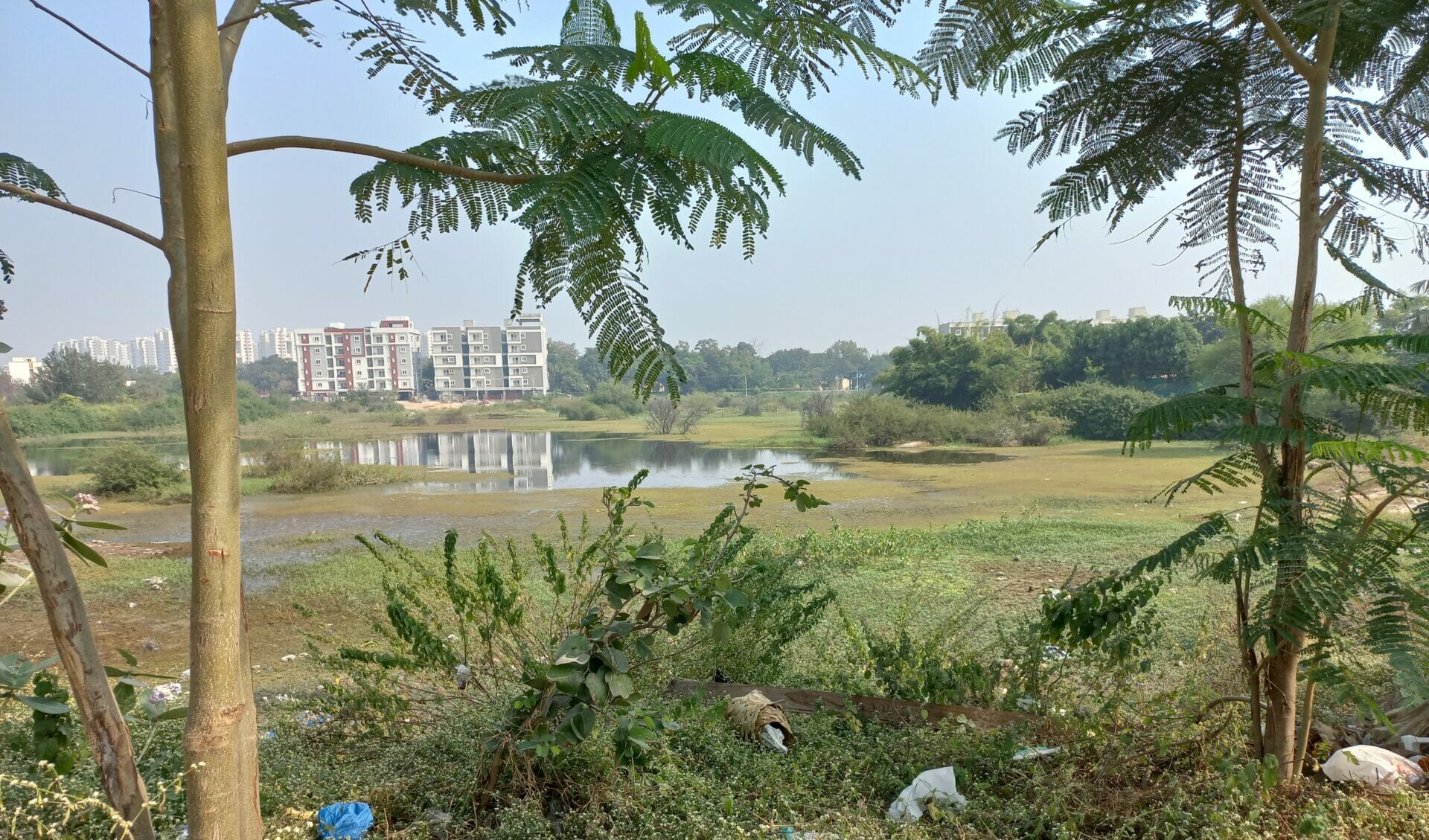 Gopanpally Tank in Hyderabad crying for help - Citizen Matters