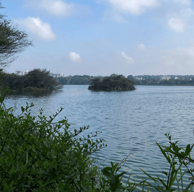 Essential assets for lake rejuvenation: A comprehensive guide - Citizen ...