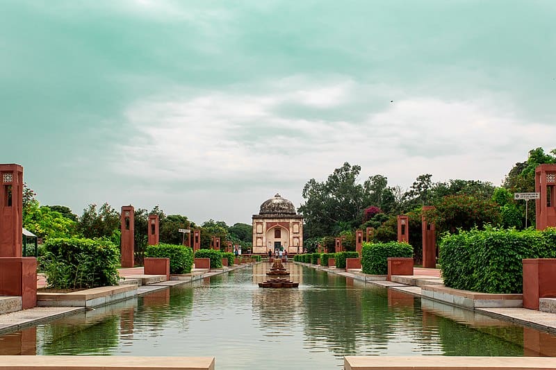 Tree walks offer solace and a glimpse into the history of Delhi