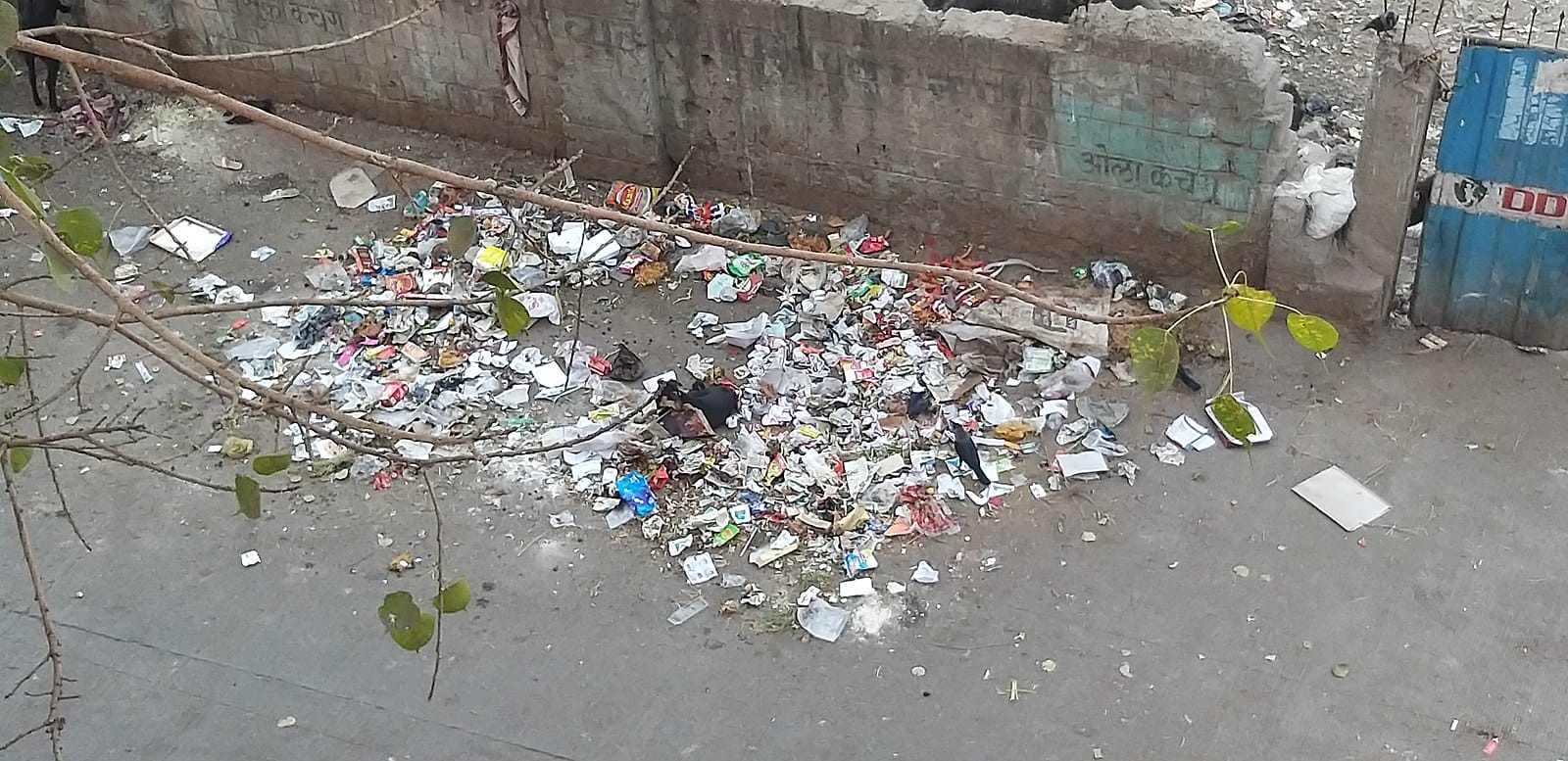 Mumbai Buzz: Return of Cleanup Marshals | Ridership of AC trains ...