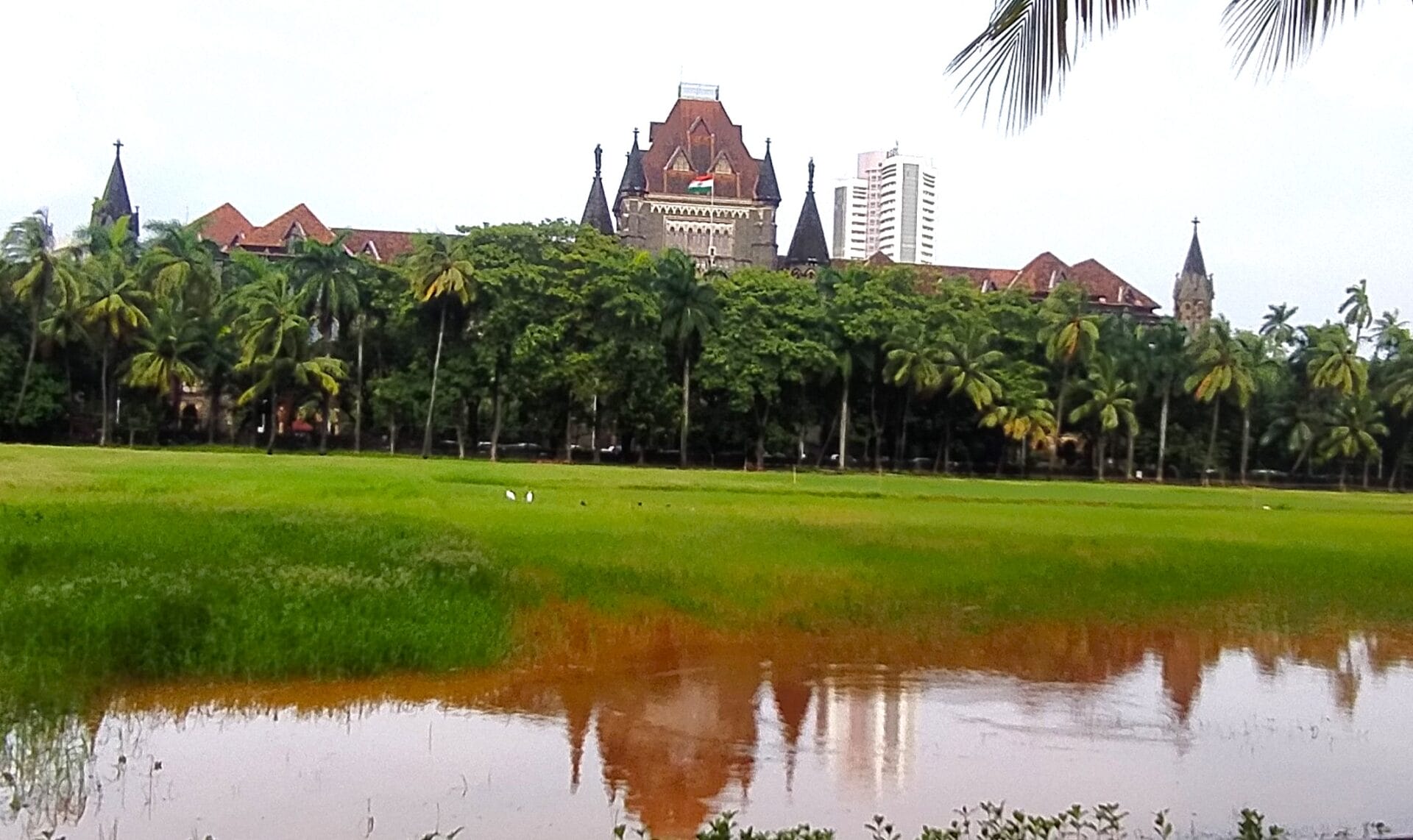 Urging the BMC to harvest Mumbai's rainwater in public spaces - Citizen ...