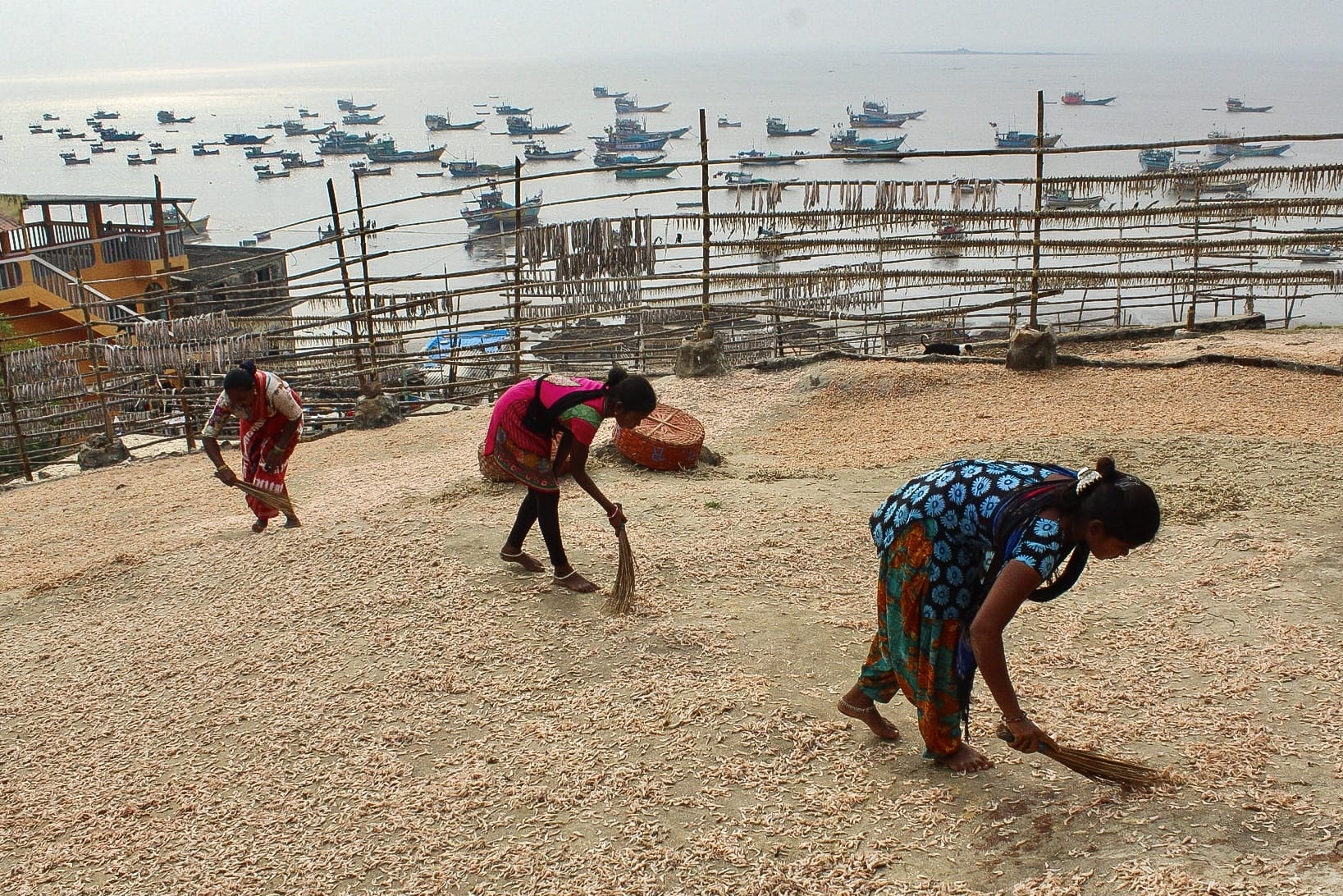 Amidst Mumbai chaos, a love letter to Dharavi Island's Uttan - Citizen ...