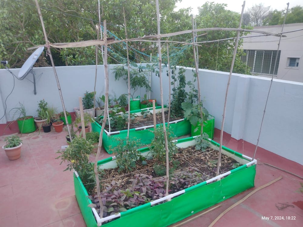 A beginner's guide to square foot gardening— the future of terrace ...