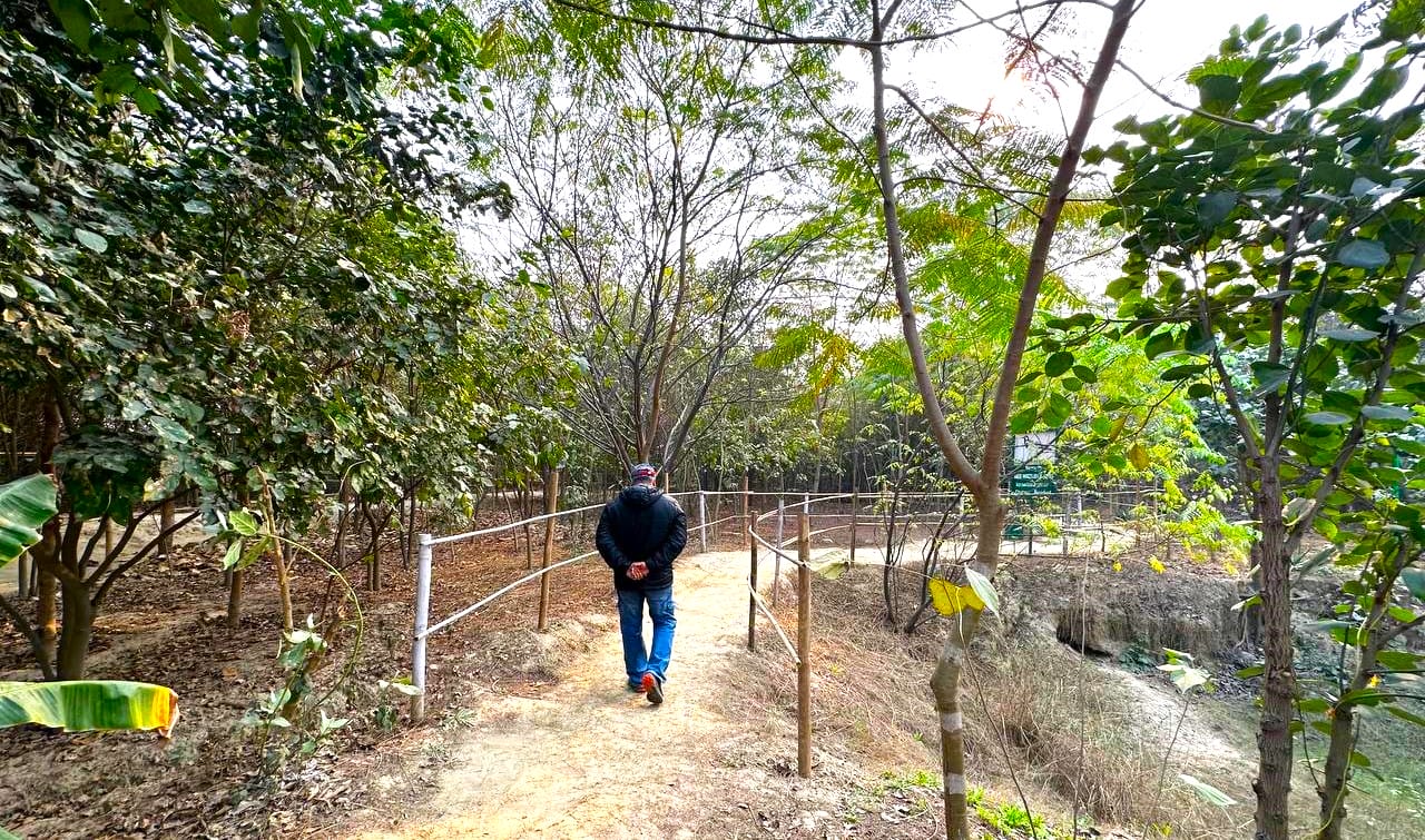 Uday Upvan: From barren land to a green oasis in Noida's concrete ...