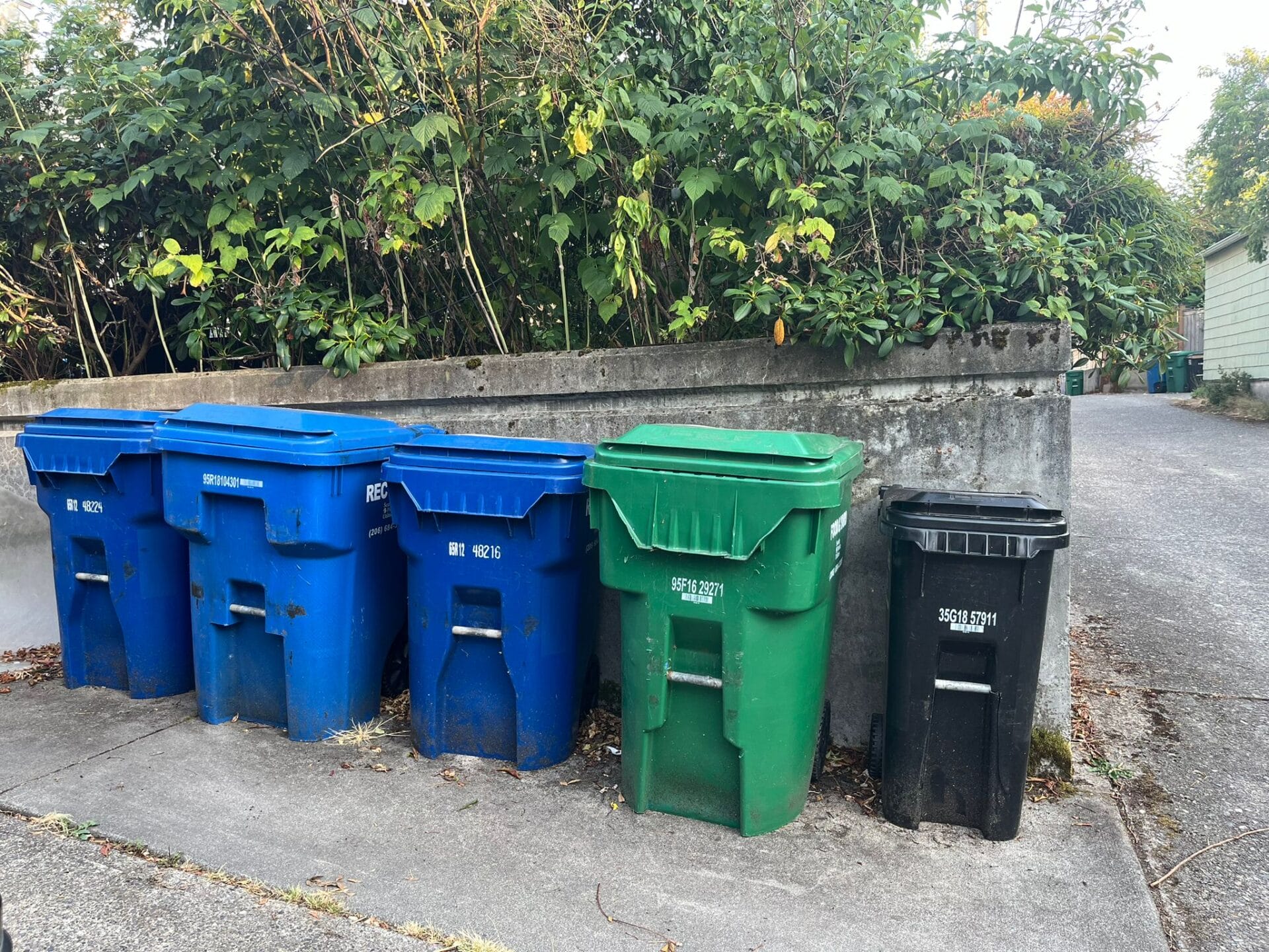 A tale of two cities: Waste management in Chennai and Seattle - Citizen ...