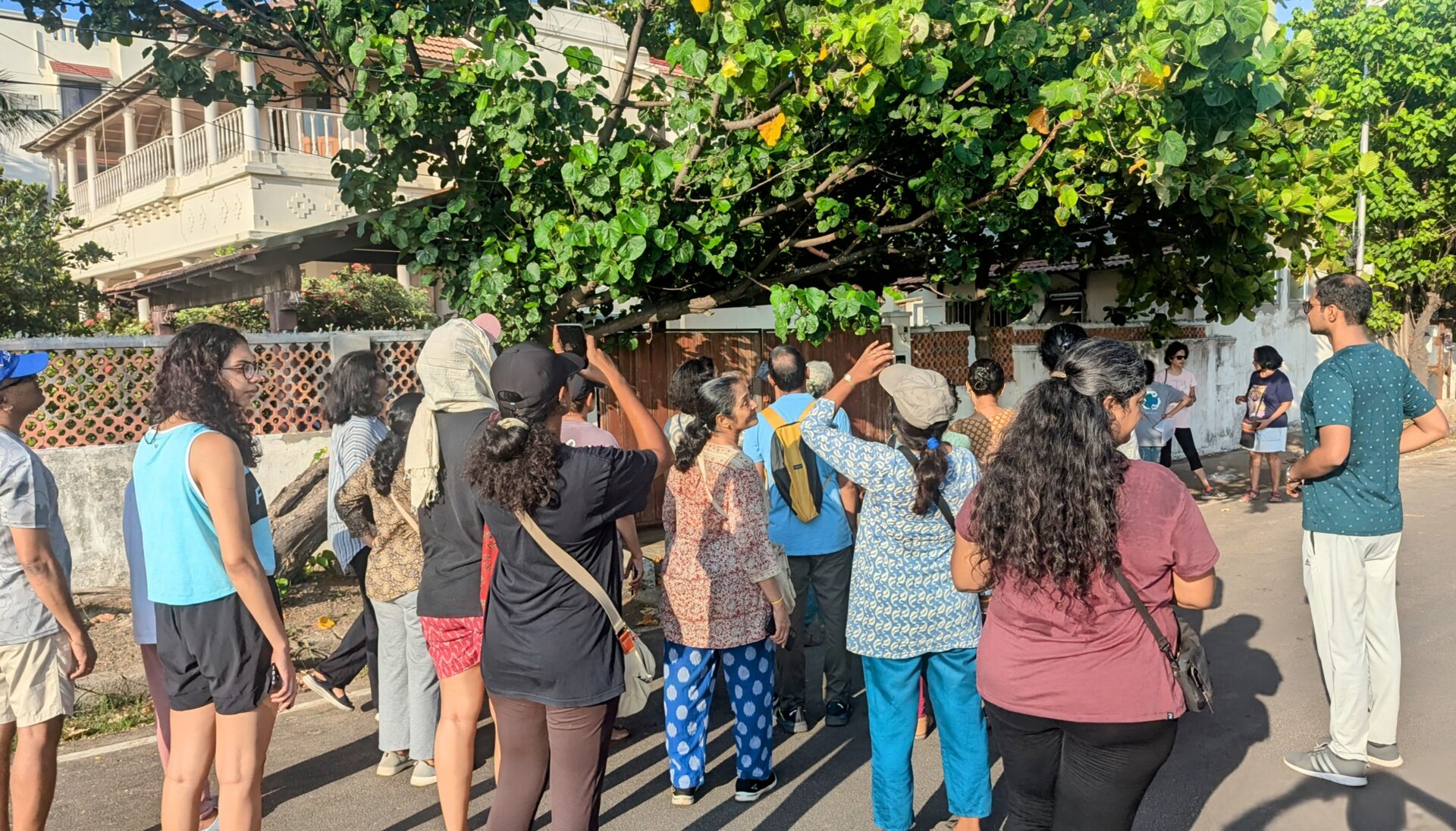 Exploring Valmiki Nagar: A journey through our trees - Citizen Matters