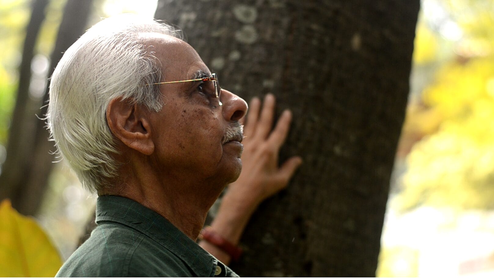 Bengaluru's trees must be preserved by its people: K Sankara Rao ...
