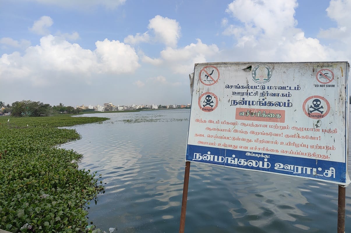 Chennai’s last lung space: Nanmangalam Lake faces an ecological ...