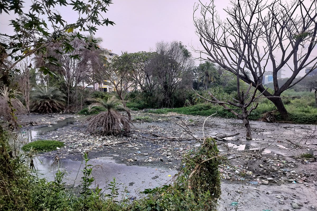 Tale of neglect: Unchecked urban growth turns Mullur Lake into a sewage ...