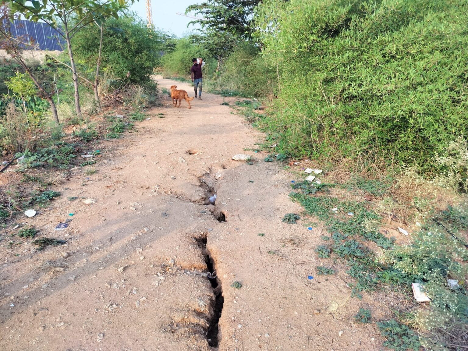 A tale of two lakes: What it says about lake restoration outside BBMP ...