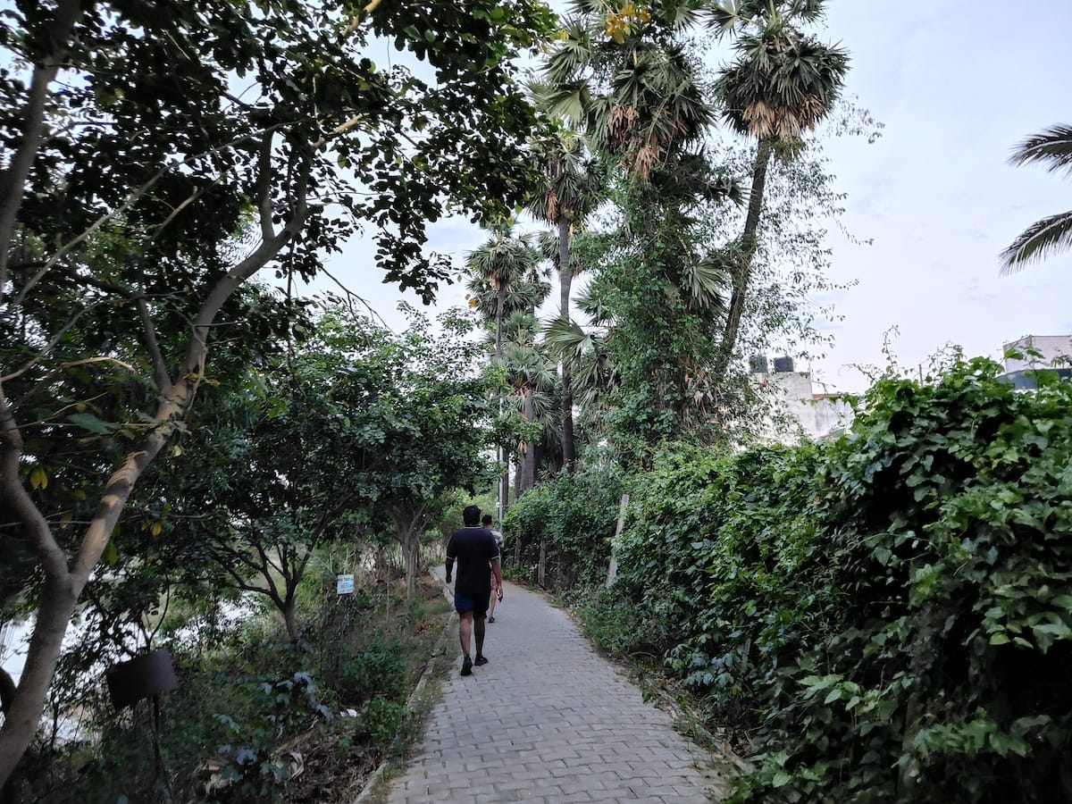 From neglect to nurture: How a proactive community revived Chennai's ...