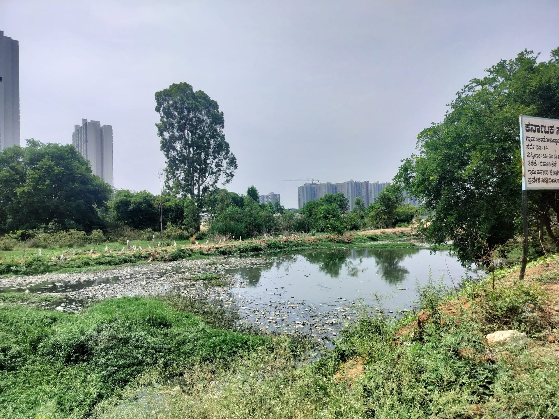 No scientific or ecological basis for reducing lake buffer zones ...