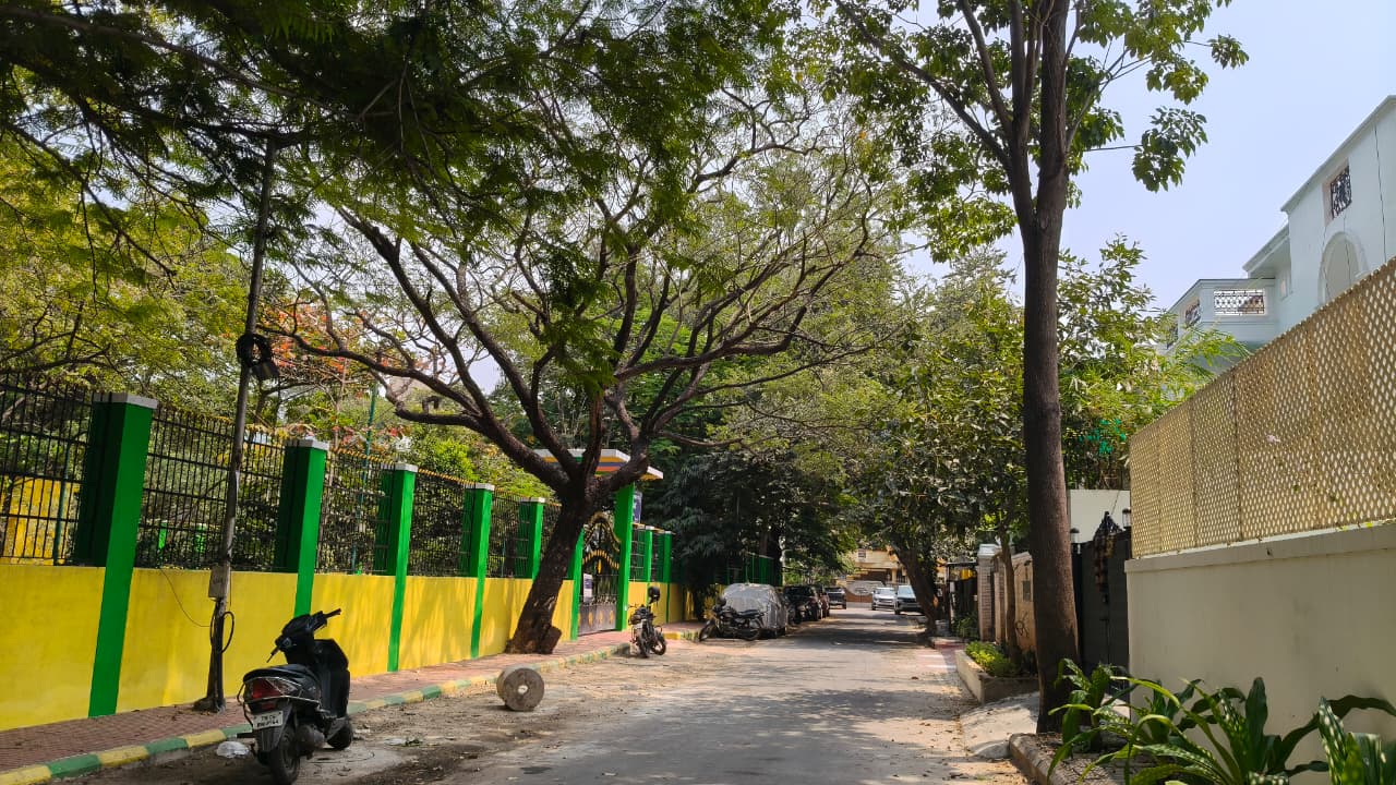 Protecting urban green cover: The process and penalties for tree ...