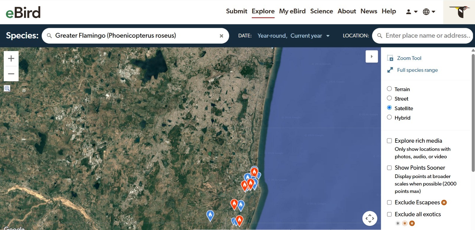 Where are the flamingos? How Metro construction is devastating Chennai ...